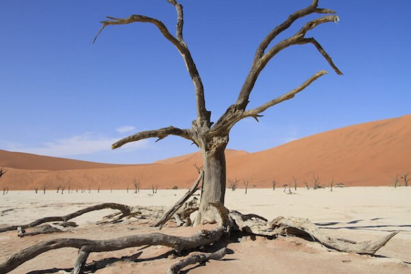 ¿Qué es la sucesión? | Asepyme